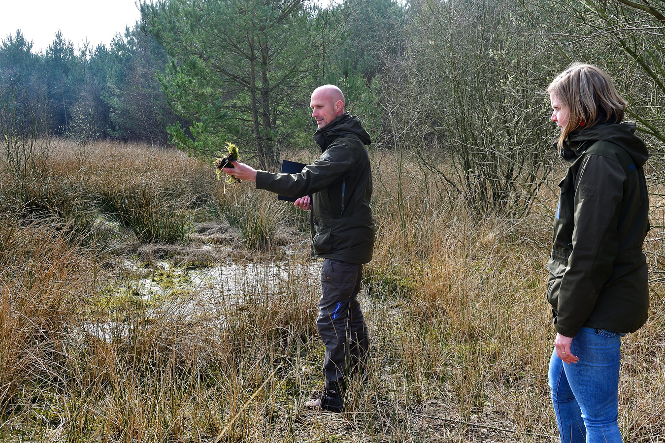 Wandelen tot in de ijstijd bij natuurpareltje Meiduinen: ‘Met een link ...