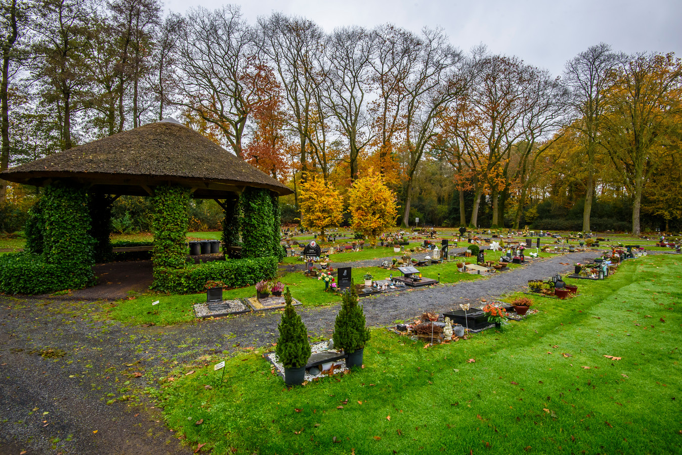 Dit is waarom elk jaar honderden Duitsers zich in Twente willen laten ...