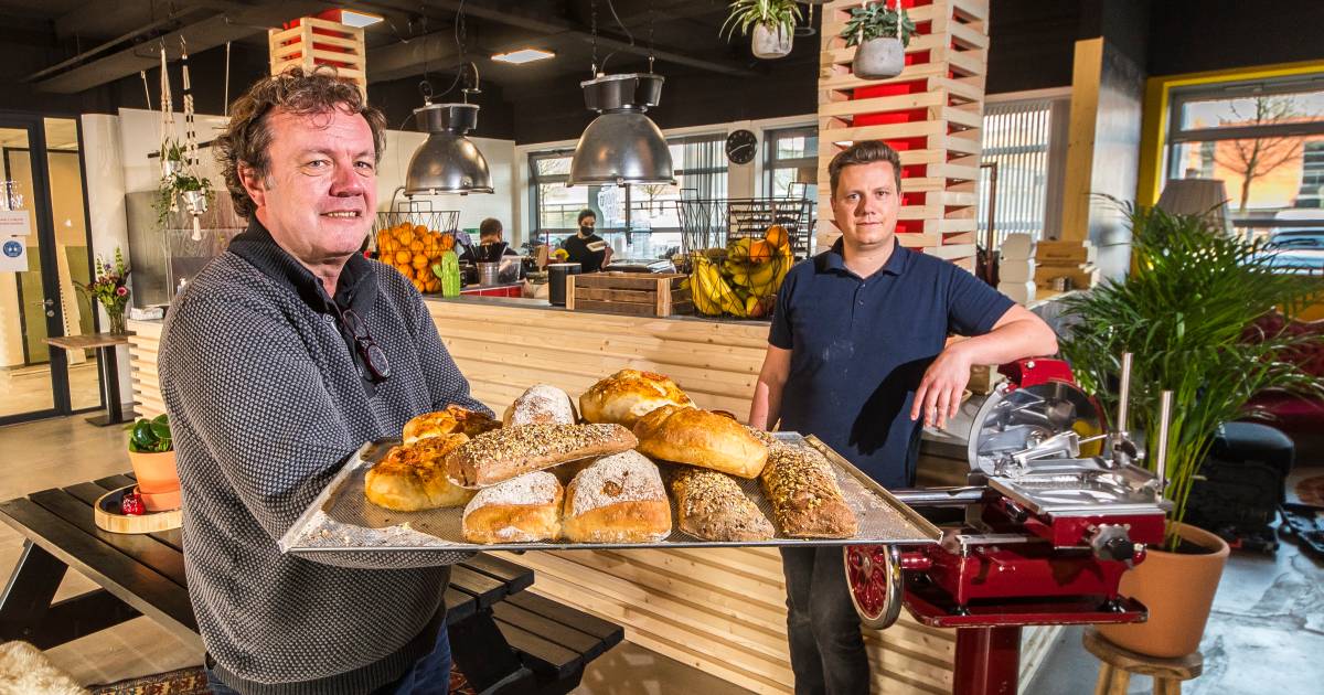 Broodbode opent midden in de crisis tweede vestiging, op Westermaat ...
