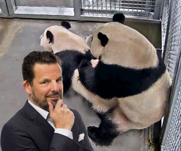 Jerry Goossens: In de San Diego Zoo gaat de camera op zwart, maar in ...