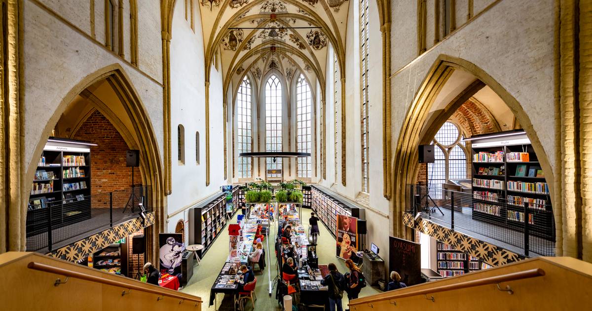 Hoe nu verder met de Hanzehof en de bibliotheek in Zutphen? ‘Centrale ...