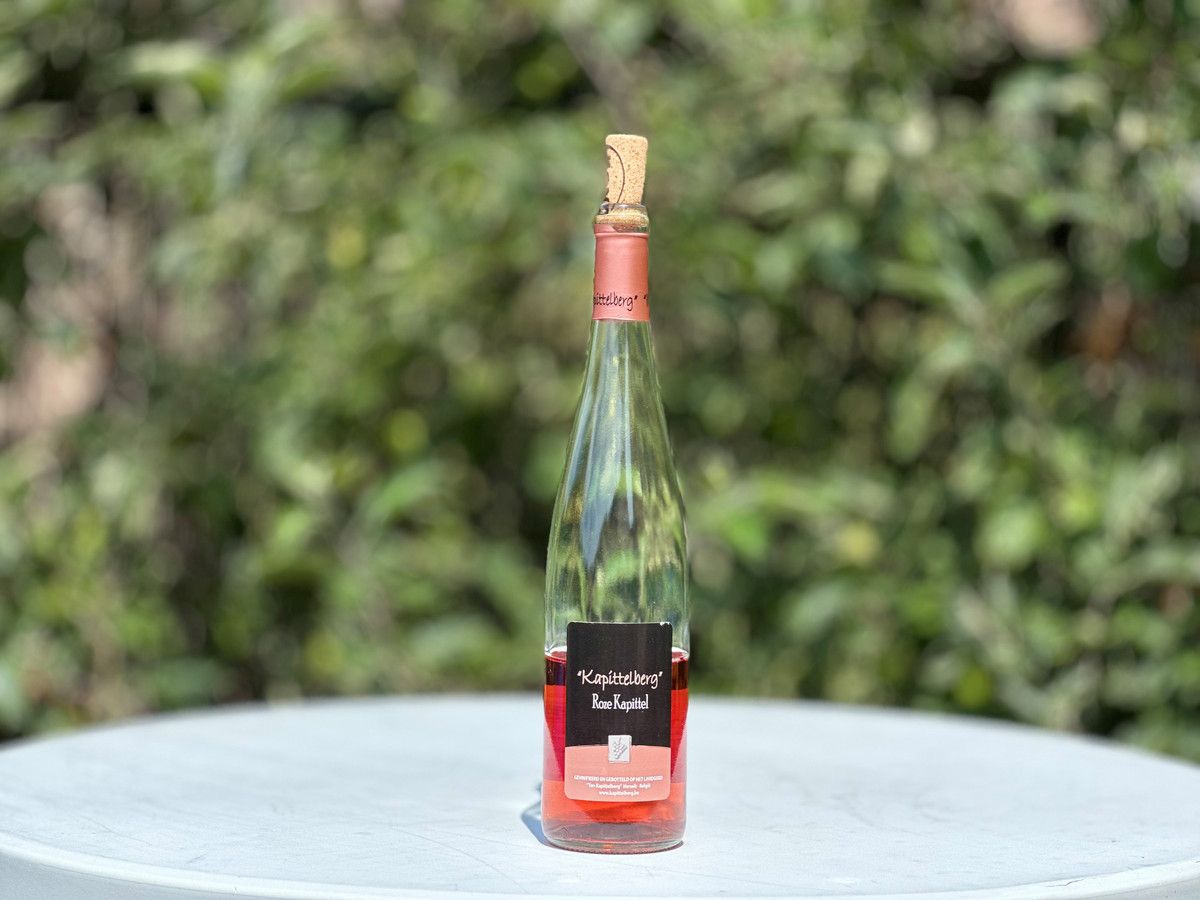 UITGETEST. Wijnen uit de Kempen. Deel 2: “In deze wijn ruiken we meloen ...