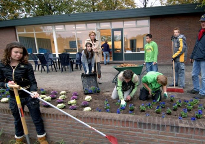 Bladblazen, vuil prikken en bloemen planten | Enschede | tubantia.nl