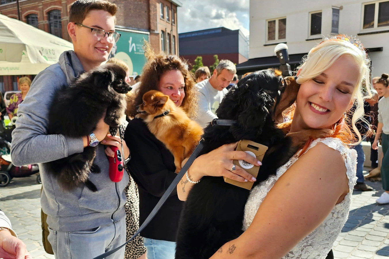 Geen rijst of witte duiven, maar erehaag van kwispelende viervoeters ...