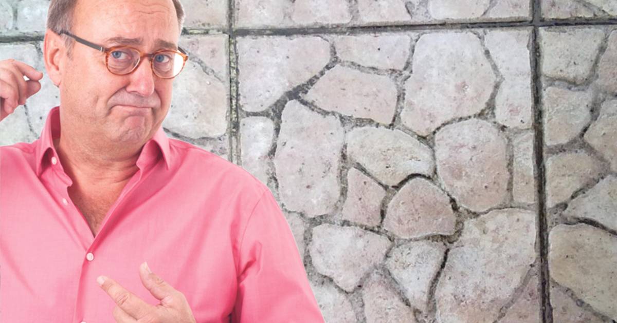 De Witte Gullit komt meteen om ons terras te bestraten: hoe bijzonder ...