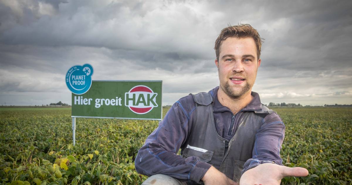Je moet de bonen van Berend hebben: HAK haalt leeuwendeel van zijn ...