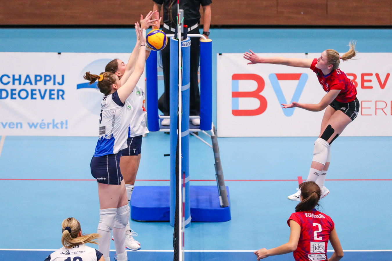 Coach Stijn Morand bereikt met VDK Gent de halve finales van de ...