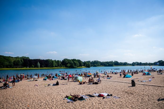 De Ster waarschuwt voor zwemmersjeuk: “Niet gevaarlijk maar wel ...
