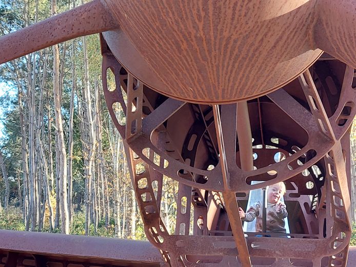 Duitsers schoten vijf Nieuw-Zeelanders boven Riel uit de lucht: Pieter ...
