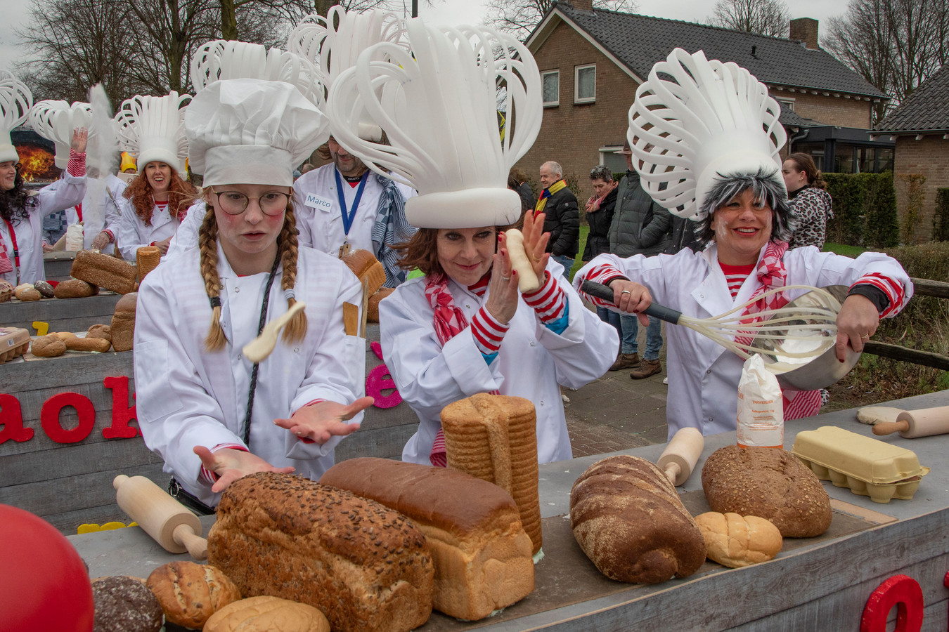 Veel actuele onderwerpen bij optocht in Haghorst, van nieuwe ...