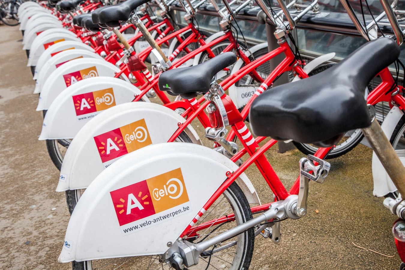 Velo-station aan Plein Publiek goedgekeurd | Foto | hln.be