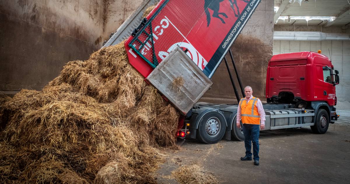 Dankzij de hergebruikte mest uit Milsbeek kunnen ze overal ter wereld ...