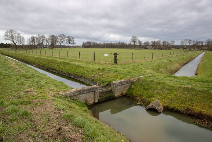 Sloten in Twente nu nog behoorlijk vol, maar kans op verdroging in de ...