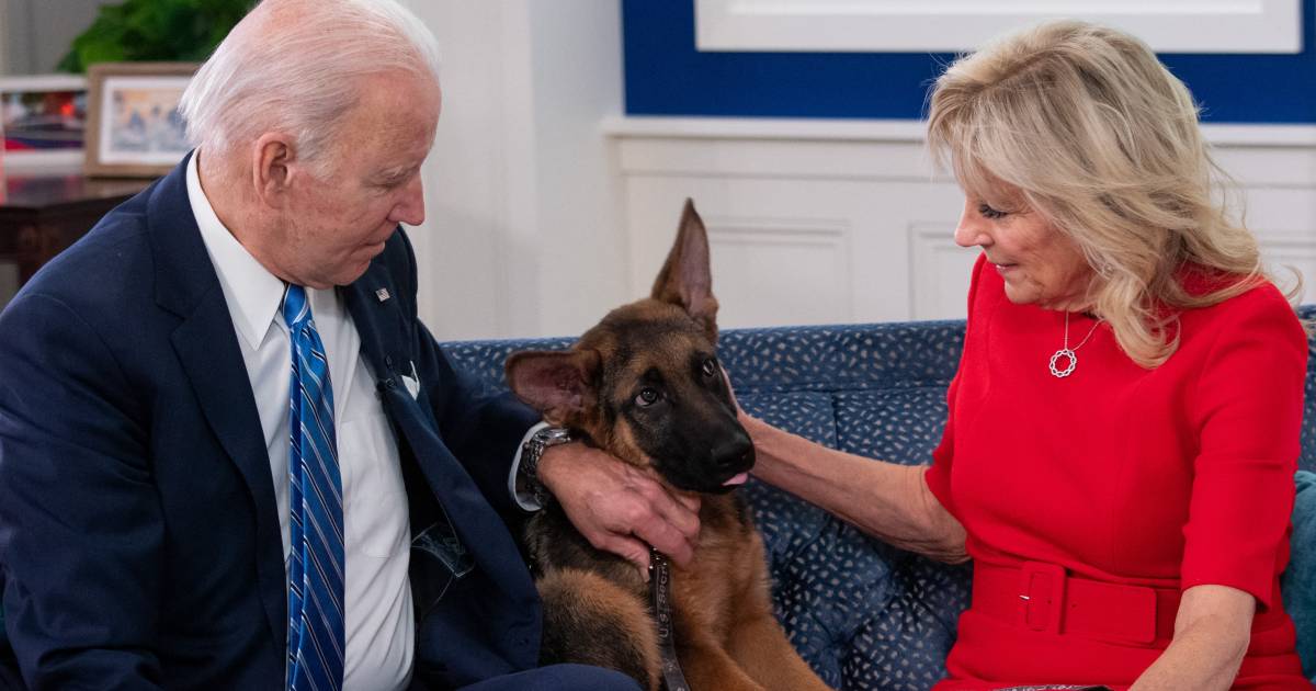 Martin Gaus werpt licht op oorzaken bijtende honden van Biden: ‘Het is ...