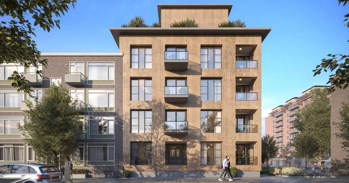 Dit nieuwbouwproject in Rotterdam-Zuid is gemaakt van hout en is ...