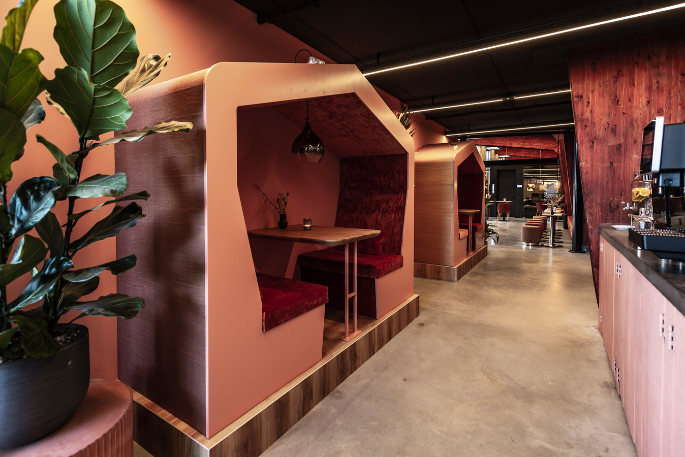 De flexwerkplekken van Sam (40) uit Klarenbeek ademen luxe: ‘Dit heb je ...