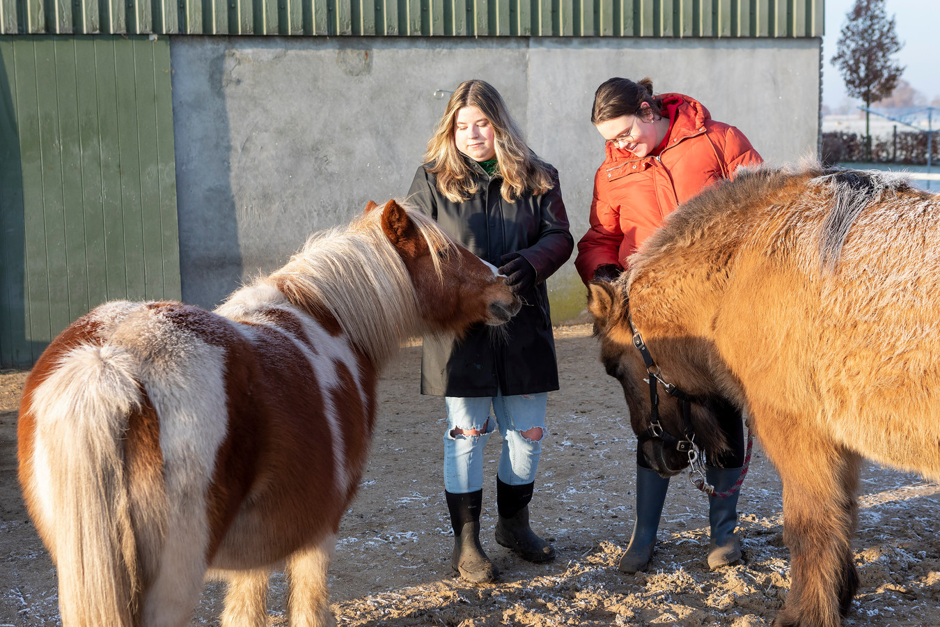 Paarden ‘ontstressen’ de autistische bewoners van Lucas Hoeve | Foto ...