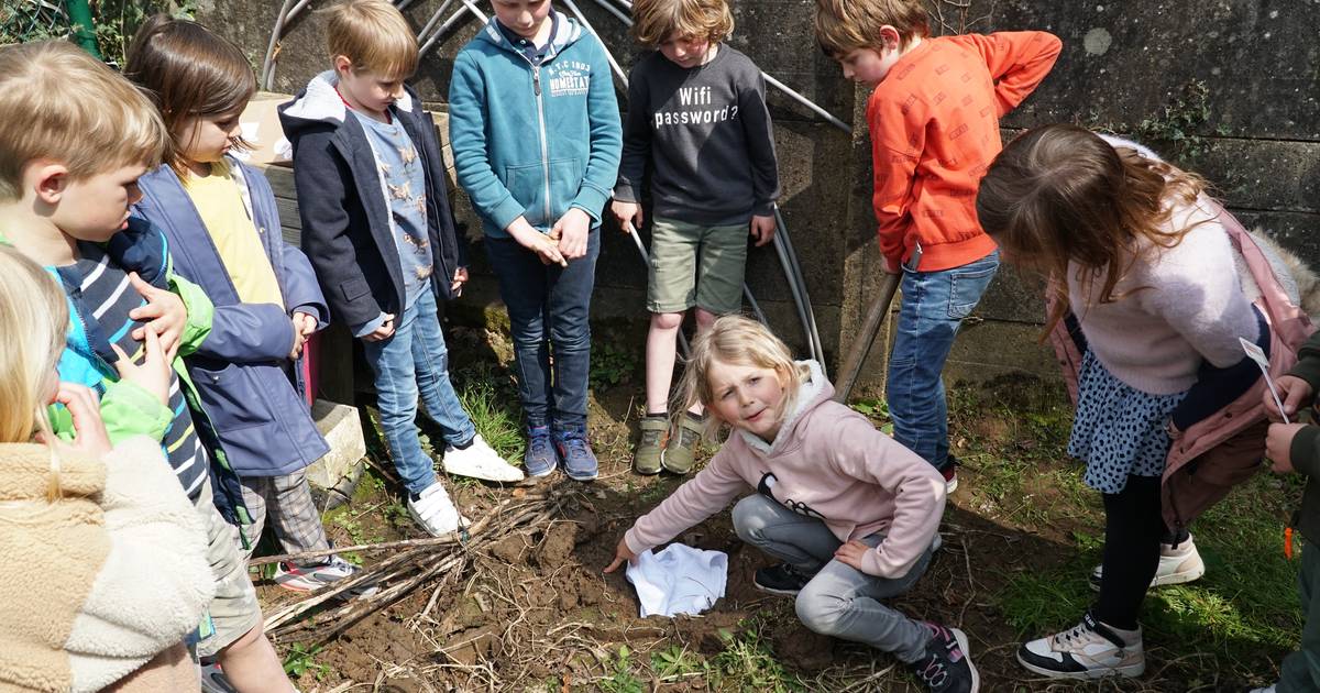 Basisschool Klim-Op neemt deel aan onderbroekentest | Sint-Lievens ...
