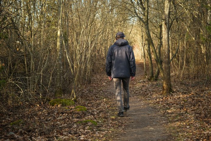 Extra budget voor nieuw groen: “Afgestorven private bossen omvormen tot ...