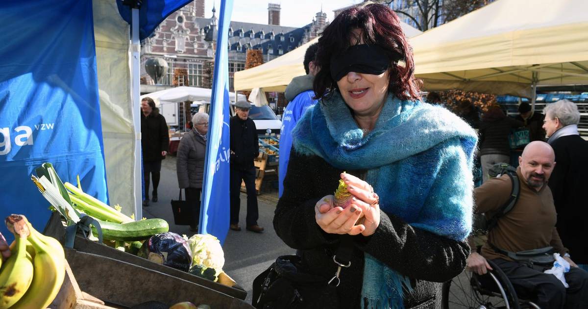 Rosa uit Thuis trapt week van Brailleliga af | Leuven | hln.be