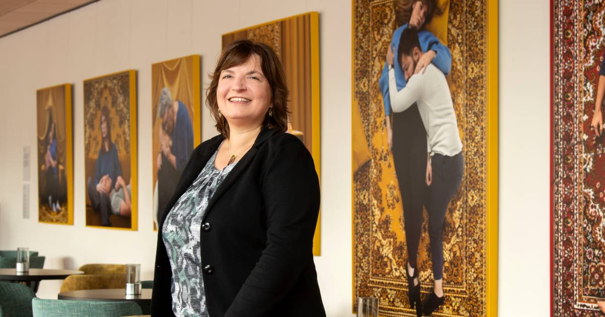 Waarom Schouwburg Hengelo vol beeldende kunst hangt: ‘Ga eens kijken ...