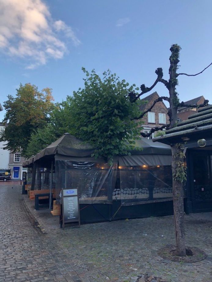Kale leilinde naast gekapte boom in Lepelstraat is ‘niet zo optimaal ...