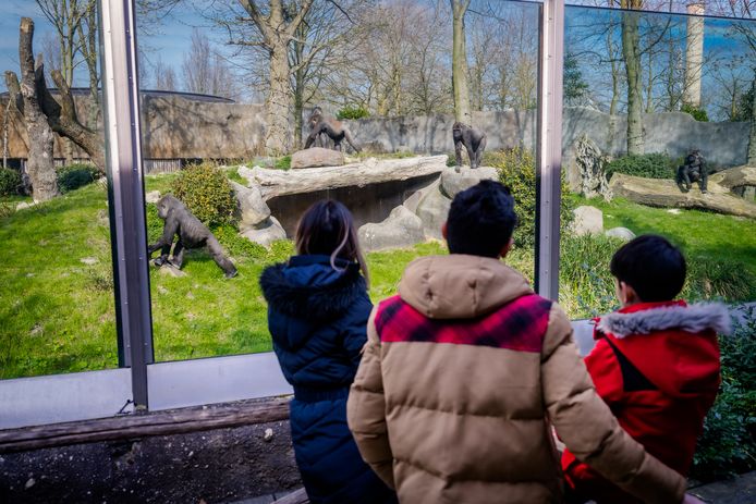 John en Bianca zijn fan van Bokito en rouwen om z'n dood: ‘We zeiden ...