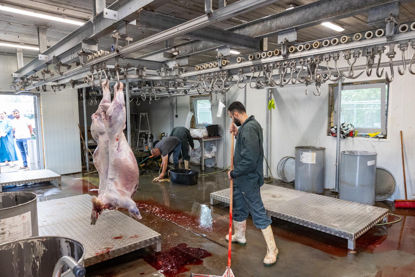 REPORTAGE. Eén van de enige erkende slachtplaatsen voor het Offerfeest ...