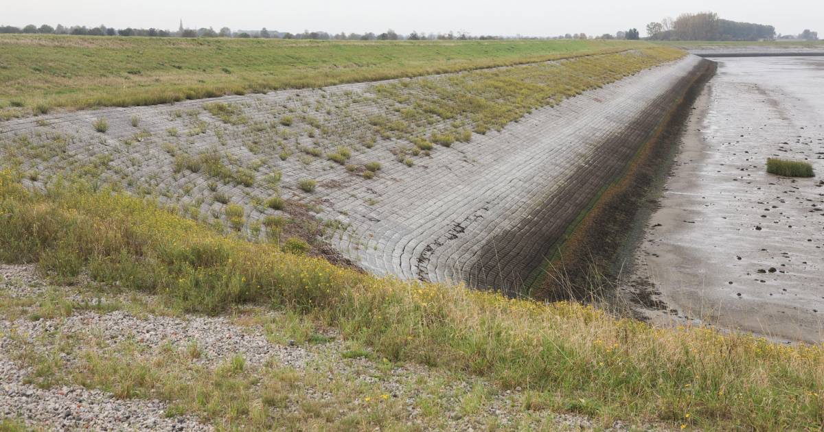 Moestuinen en grond rond zeedijk Perkpolder worden volgend jaar ...
