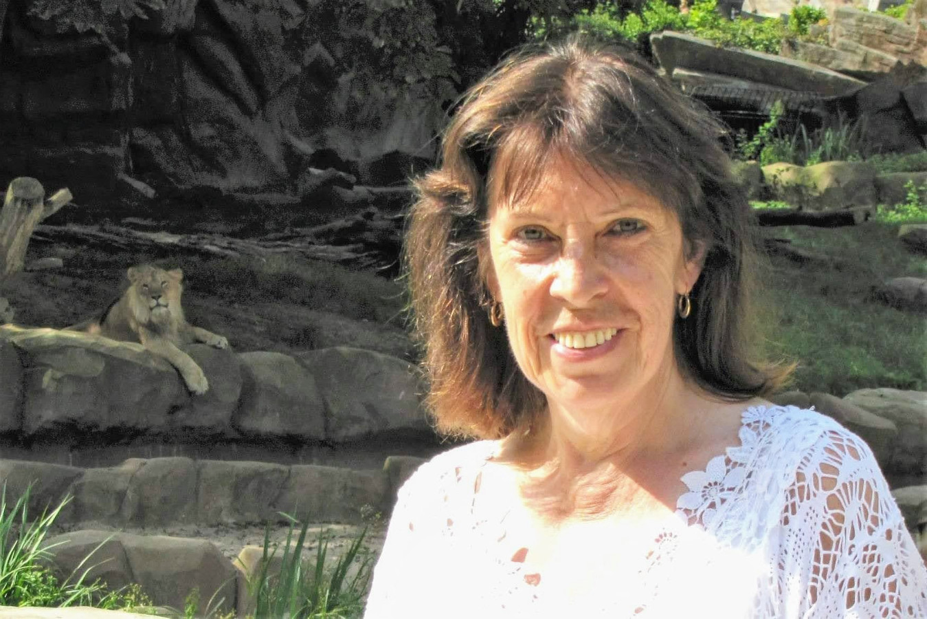 Zoo klaar voor heropening: fans staan te popelen om hun favoriete ...