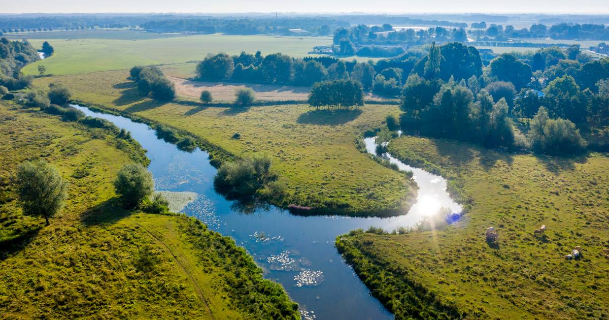Met de Mark gaat het iets beter, maar nog lang niet goed genoeg: ‘Hier ...