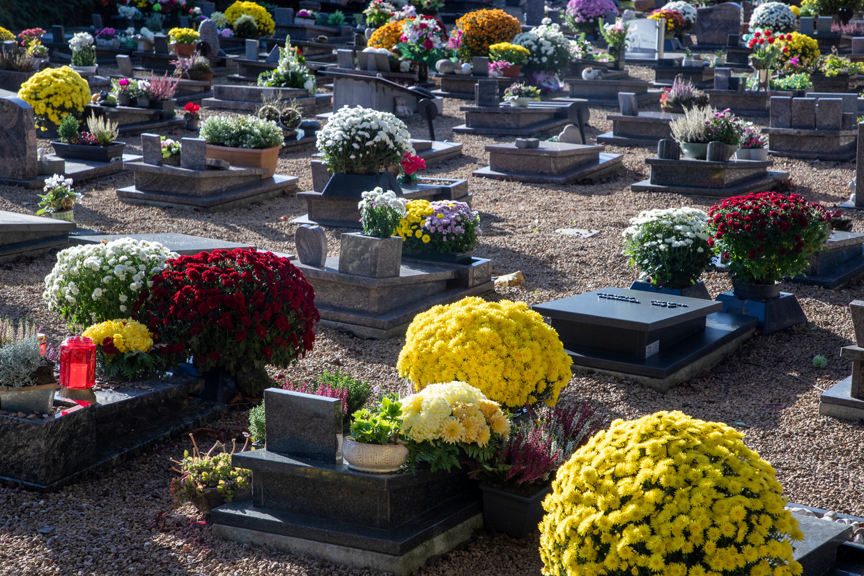 Zieneres over Allerheiligen en Allerzielen: ‘Ik spreek met een paar ...