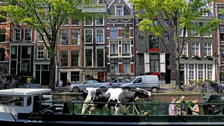 Amsterdam onveiligste gemeente van Nederland | De Morgen