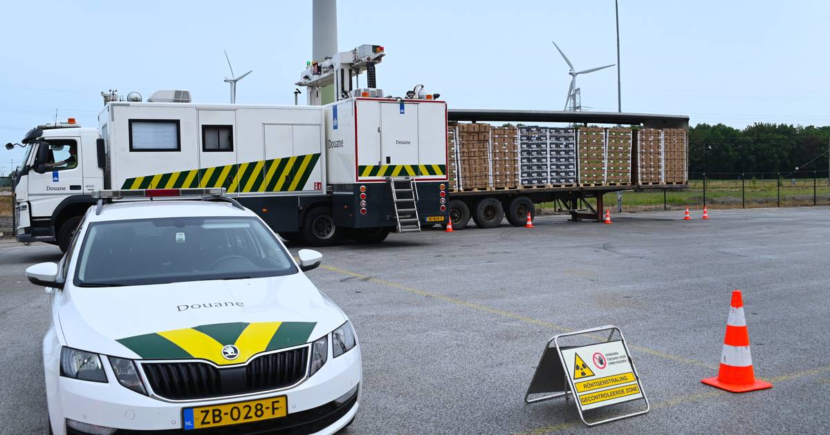 Vier uithalers opgepakt in haven van Vlissingen | Vlissingen | pzc.nl