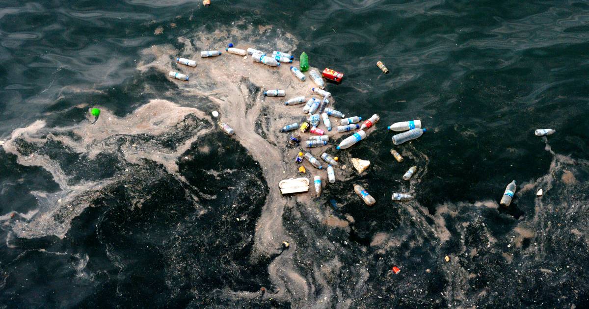 WWF: “Middellandse Zee verstikt in plastic afval”, toerisme grootste ...