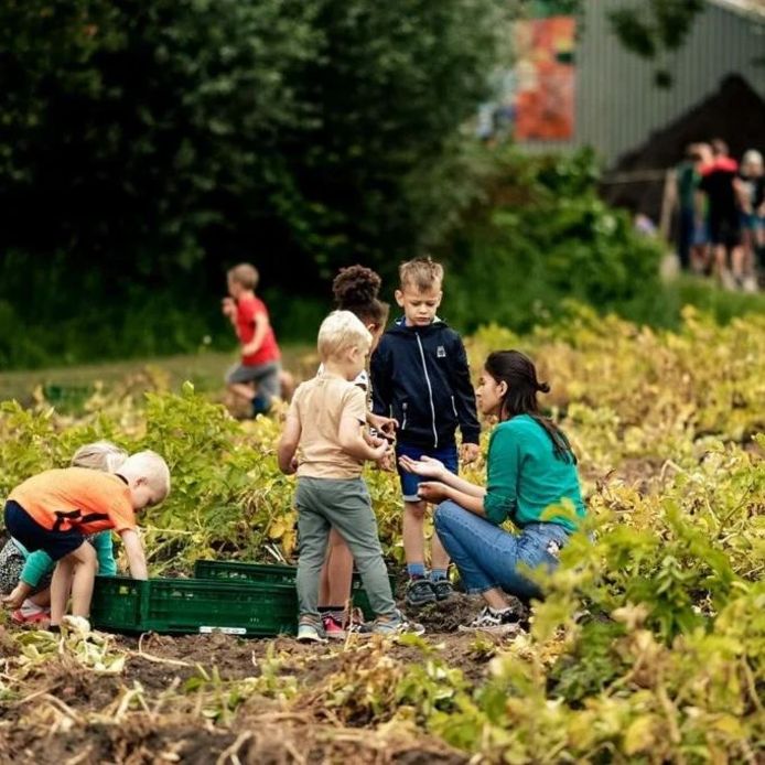 Oogsten en plukken bij boerderij Groeizaam in Emmeloord ...