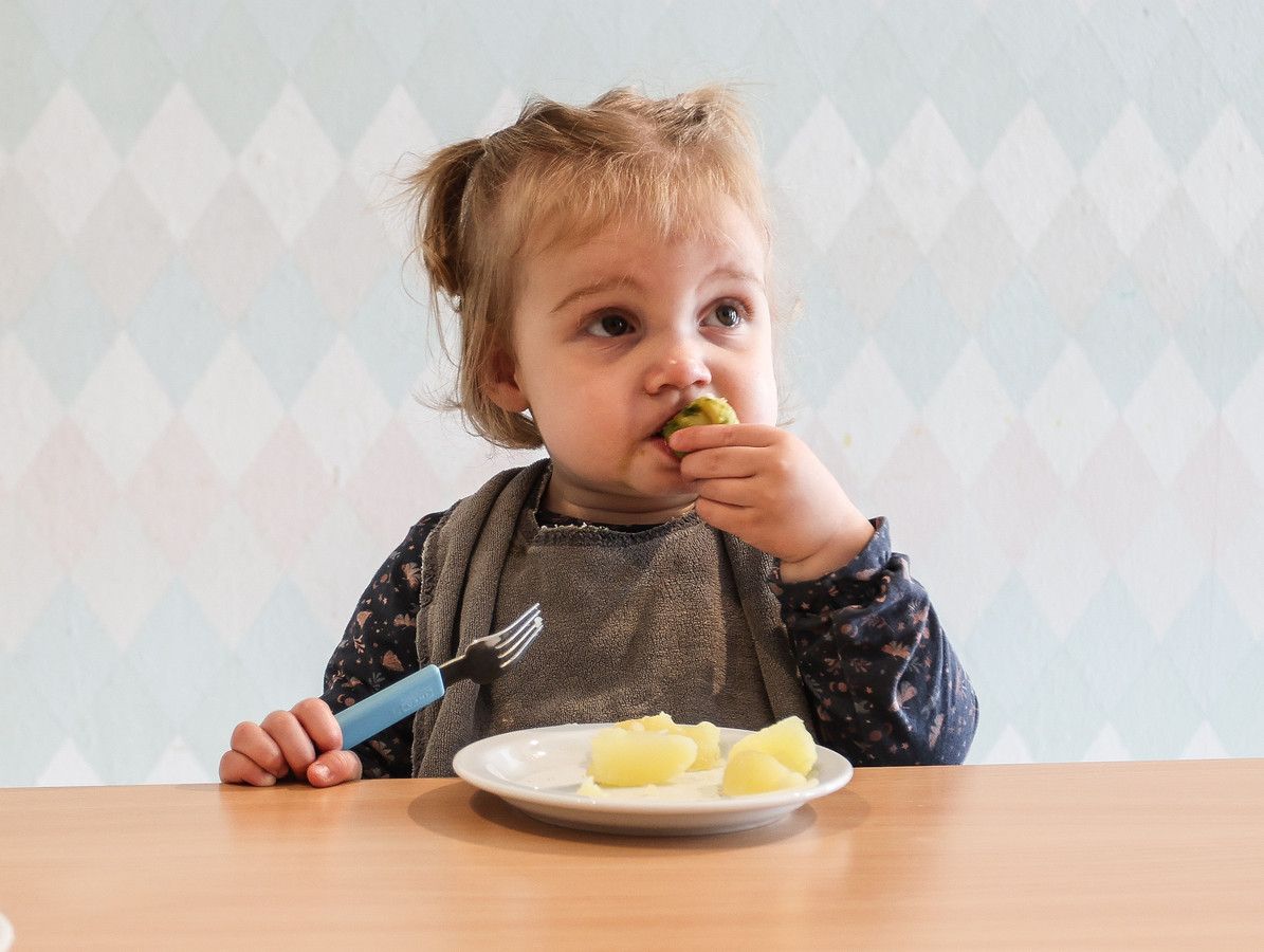 Kinderdagverblijf Het Toverbos fan van korte keten: “Elke dag verse ...