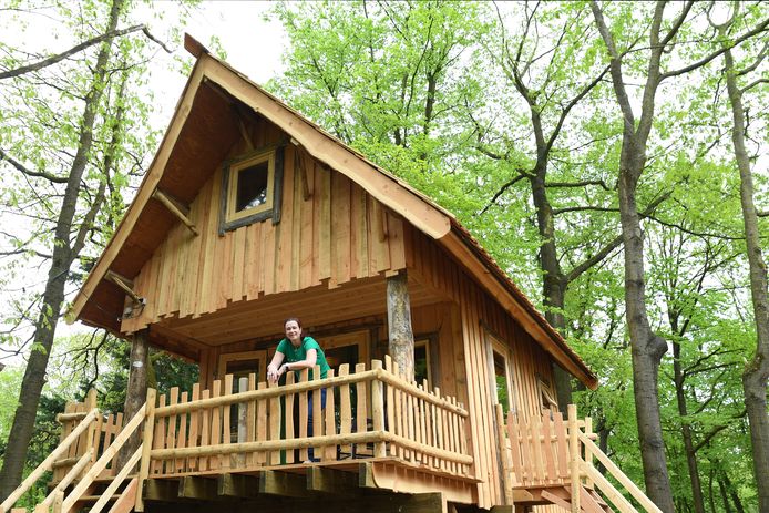 Boomhut met sauna: luxe kamperen kan ook gewoon hier in West-Brabant ...
