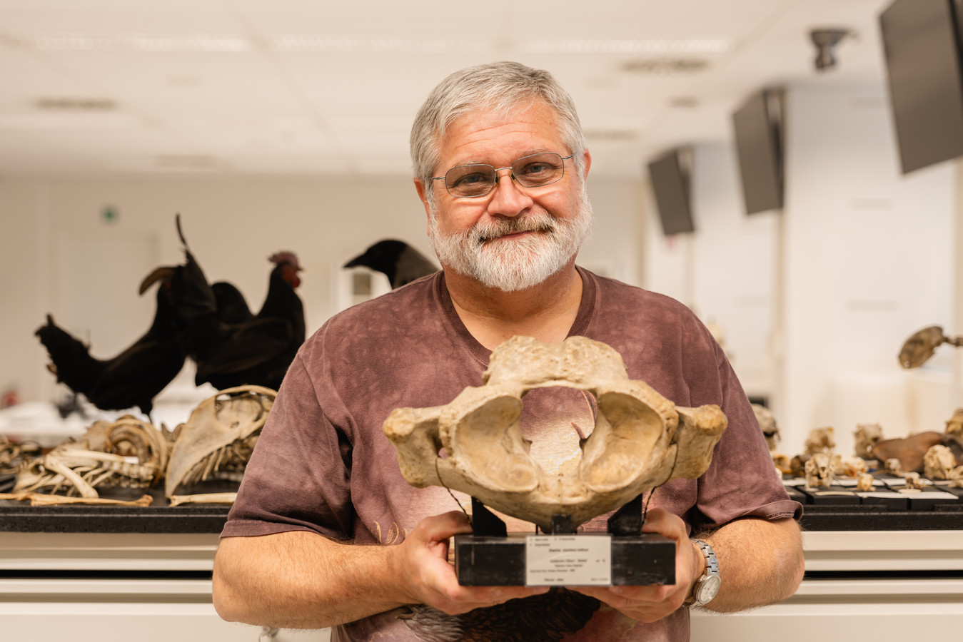 Hoe de Gentse bourgeoisie haar eigen dierentuin teloor liet gaan: “De ...