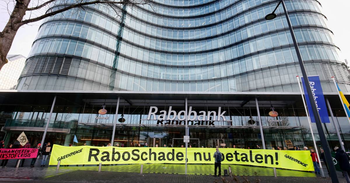 Greenpeace: als Rabobank gaat meebetalen aan stikstofcrisis blijft het ...