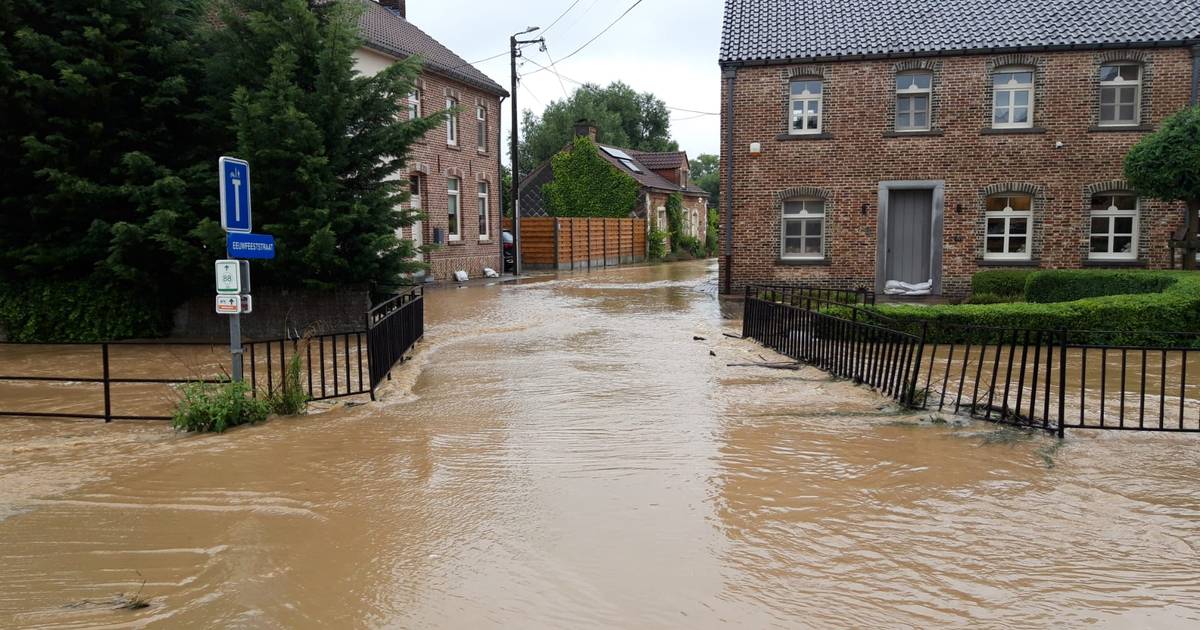 Stad Landen heeft zijn hemelwater- en droogteplan klaar | Landen | hln.be