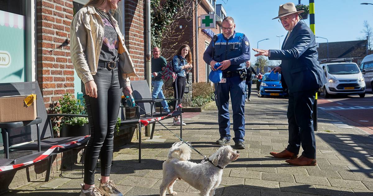 Boekel wil met ‘losloopgebieden’ hondenpoep aanpakken | Boekel | AD.nl