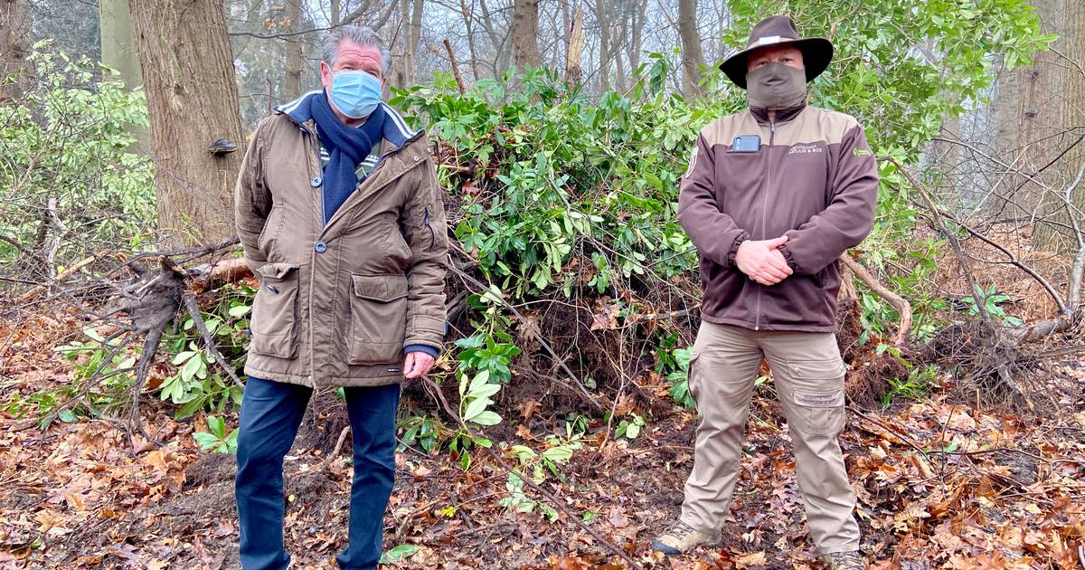 Schoten geeft startschot voor beheer Bonte Hannek: wandelaars ontdekken ...
