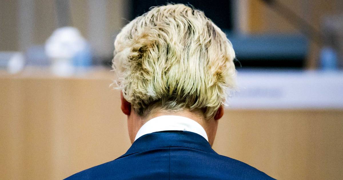 Advocaat Knoops: Binnenlandse Zaken bemoeide zich met Wilders-zaak ...
