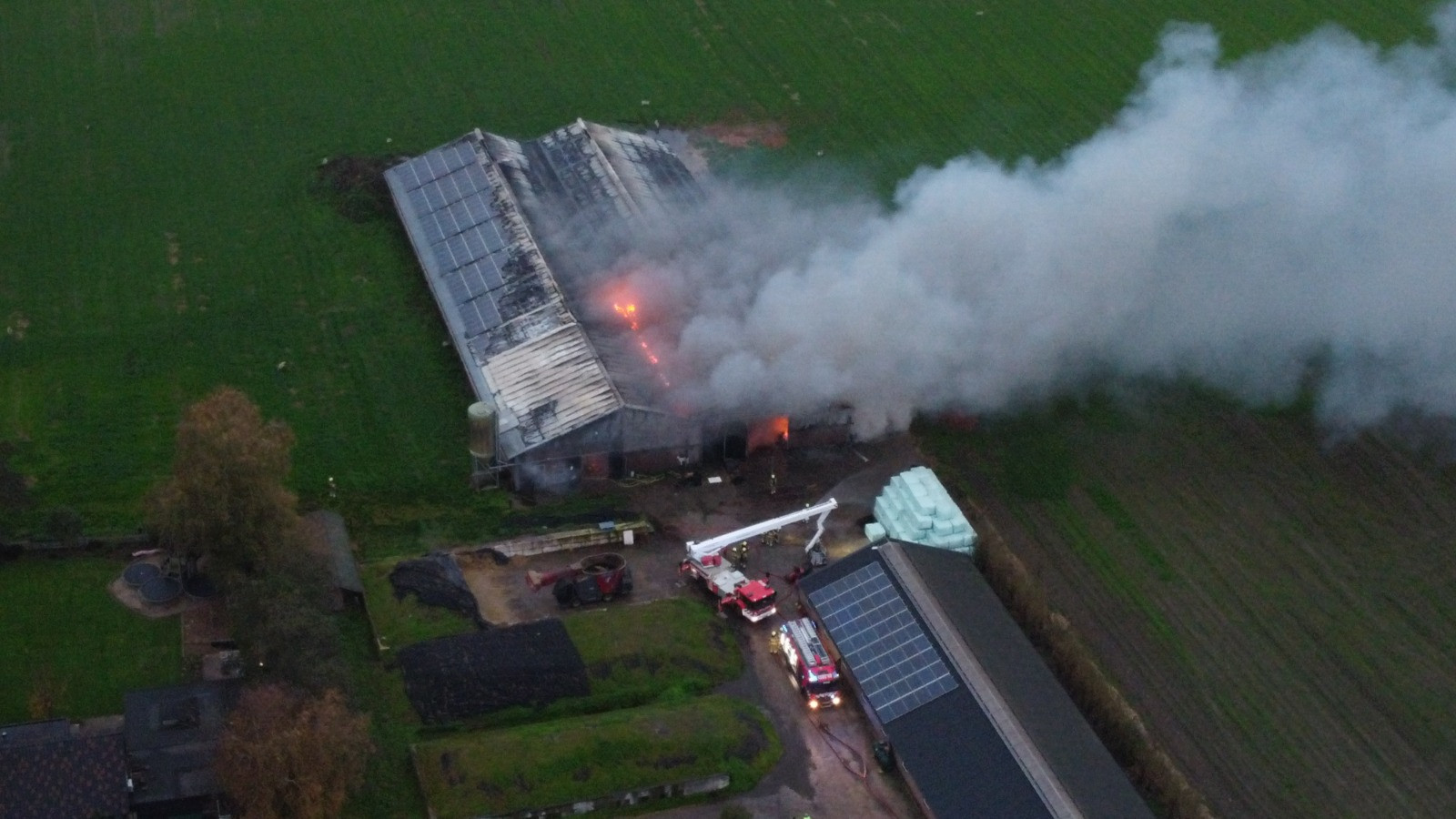 Stalbrand met 9000 dode varkens is een van de dodelijk­ste van Brabant ...
