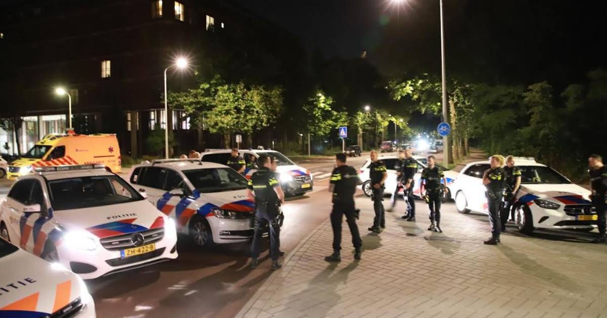 Drie Mannen Opgepakt Na Melding Schietpartij In Haagse Woning Den