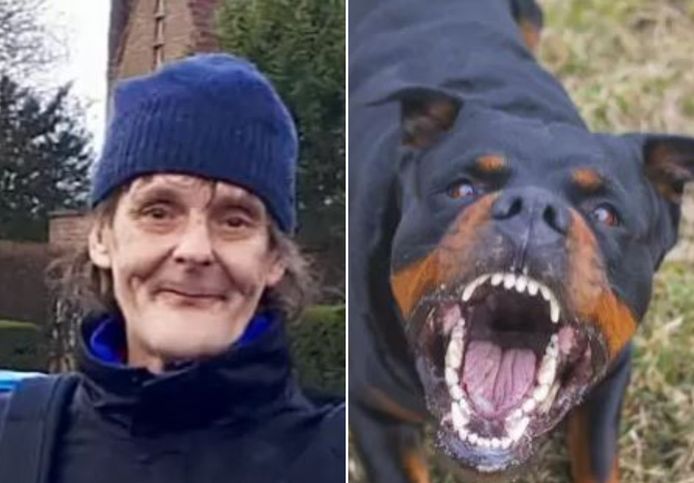 Walter ‘Pico’ Michiels tweede dag op rij voor rechter: zes maanden cel ...