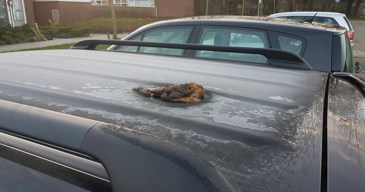 Poep op de muur en autobanden lek; gezin al twee jaar getreiterd door ...