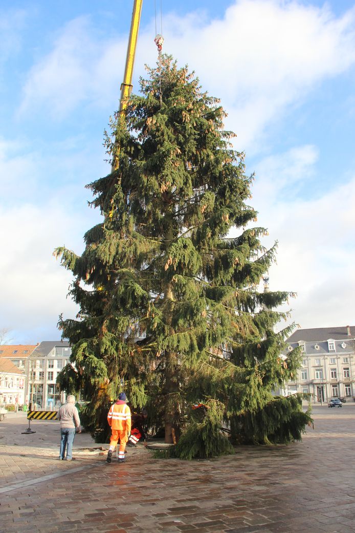 18,5 meter hoge kerstboom op Grote Markt Ronse | Ronse | hln.be