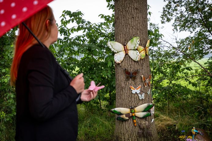 Bram is geen verkeersdode, mag hij daarom geen bermmonumentje ...